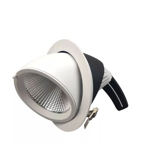 LED Gimbal Downlight