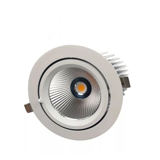 LED Gimbal Downlight
